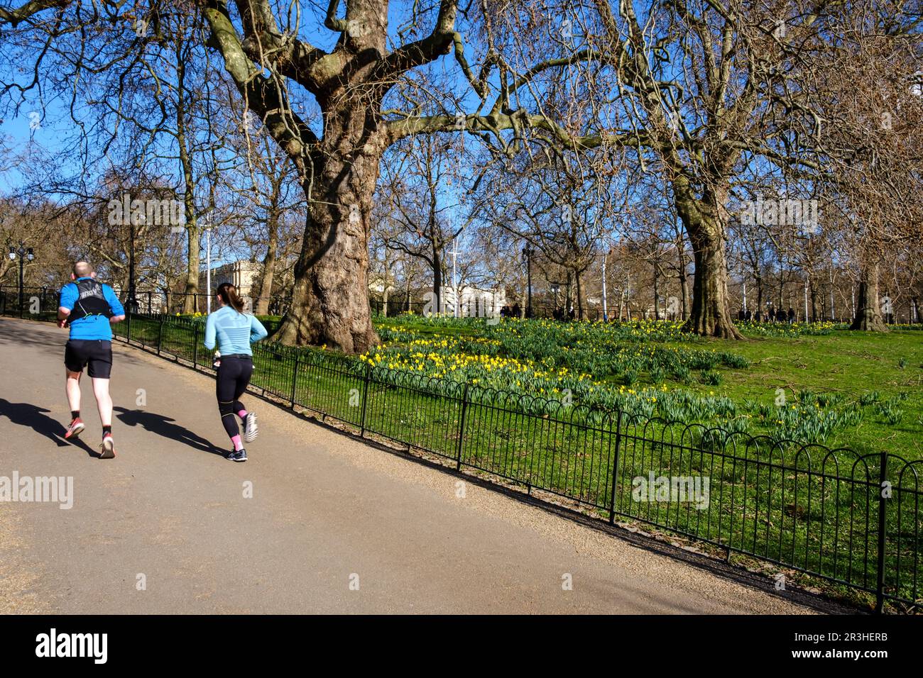 running St James' Park , London, England, Great Britain Stock Photo - Alamy