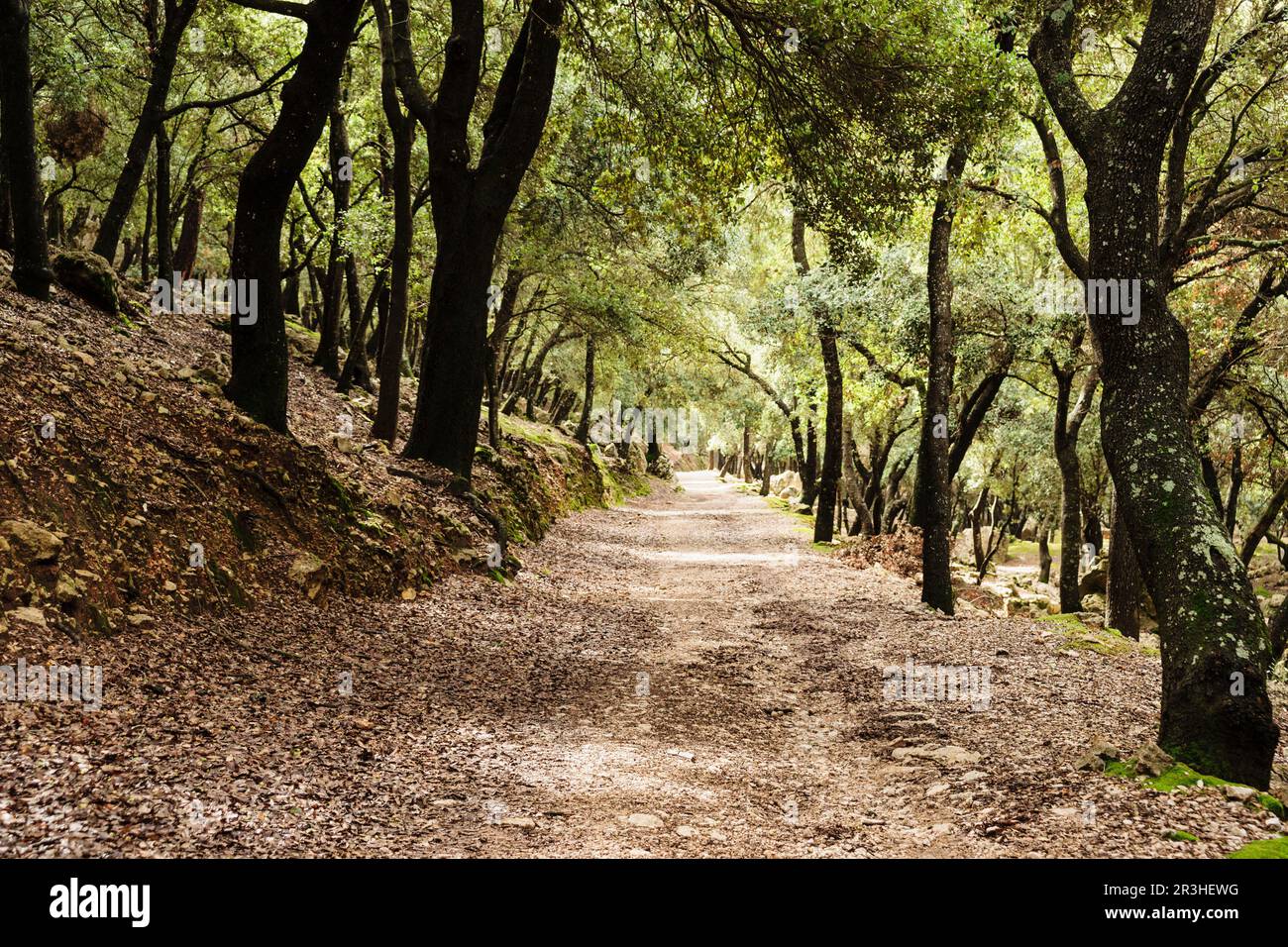 Ecosistema de la naturaleza hi-res stock photography and images - Alamy