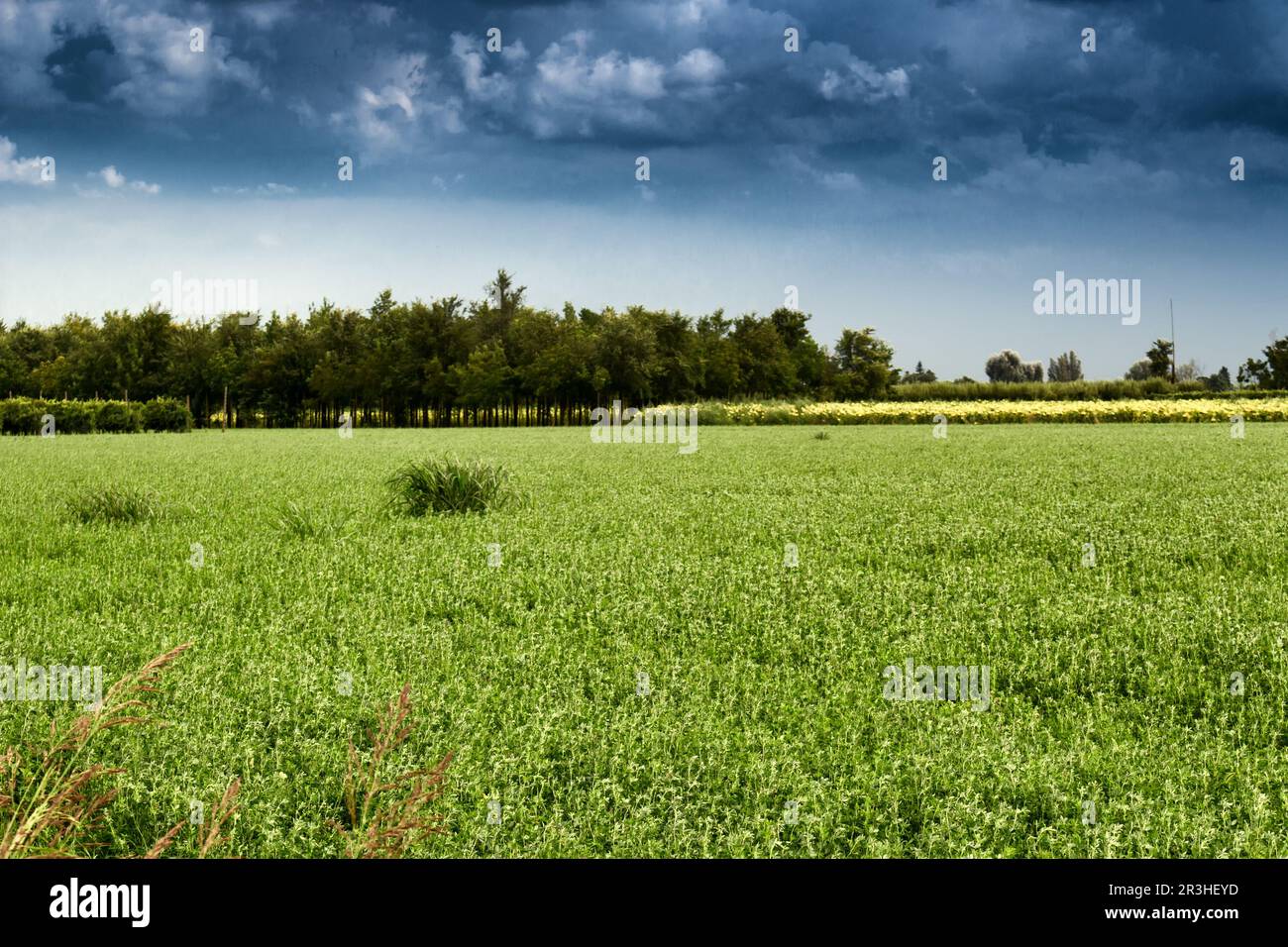 Cultivate fields hi-res stock photography and images - Alamy