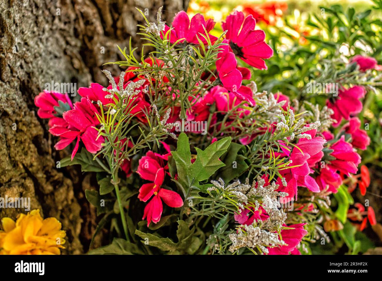 Votive tree hi-res stock photography and images - Alamy