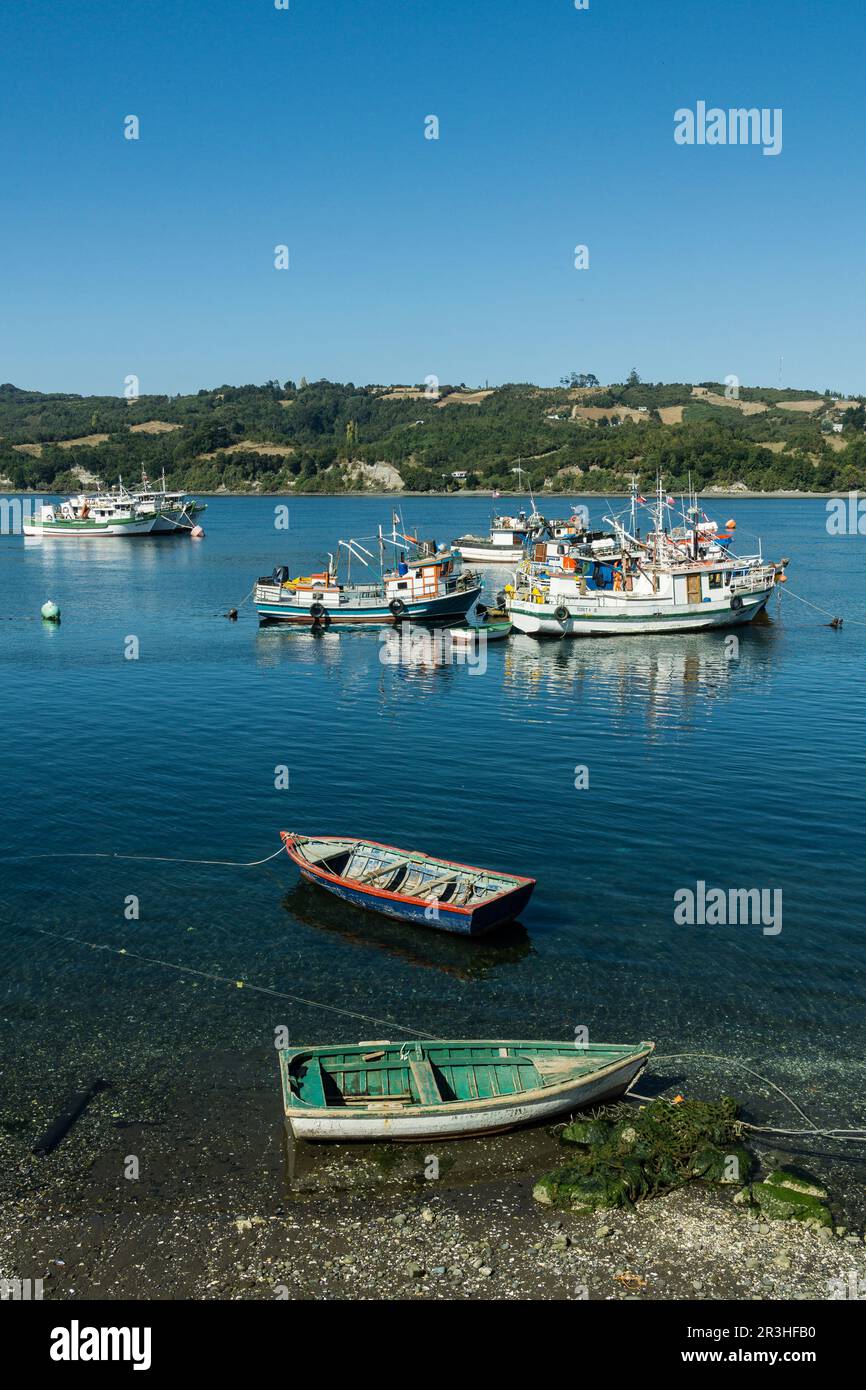Dalcahue, archipiélago de Chiloé ,provincia de Chiloé ,región de Los Lagos,Patagonia, República ...