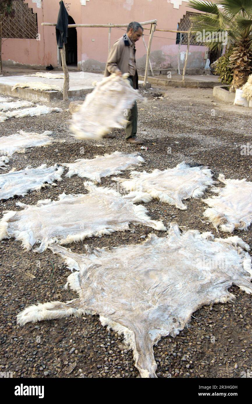 Zoco de marruecos hi-res stock photography and images - Alamy