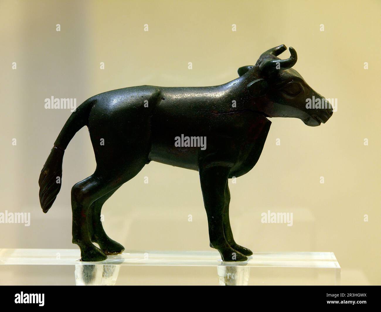 Torillo hi-res stock photography and images - Alamy