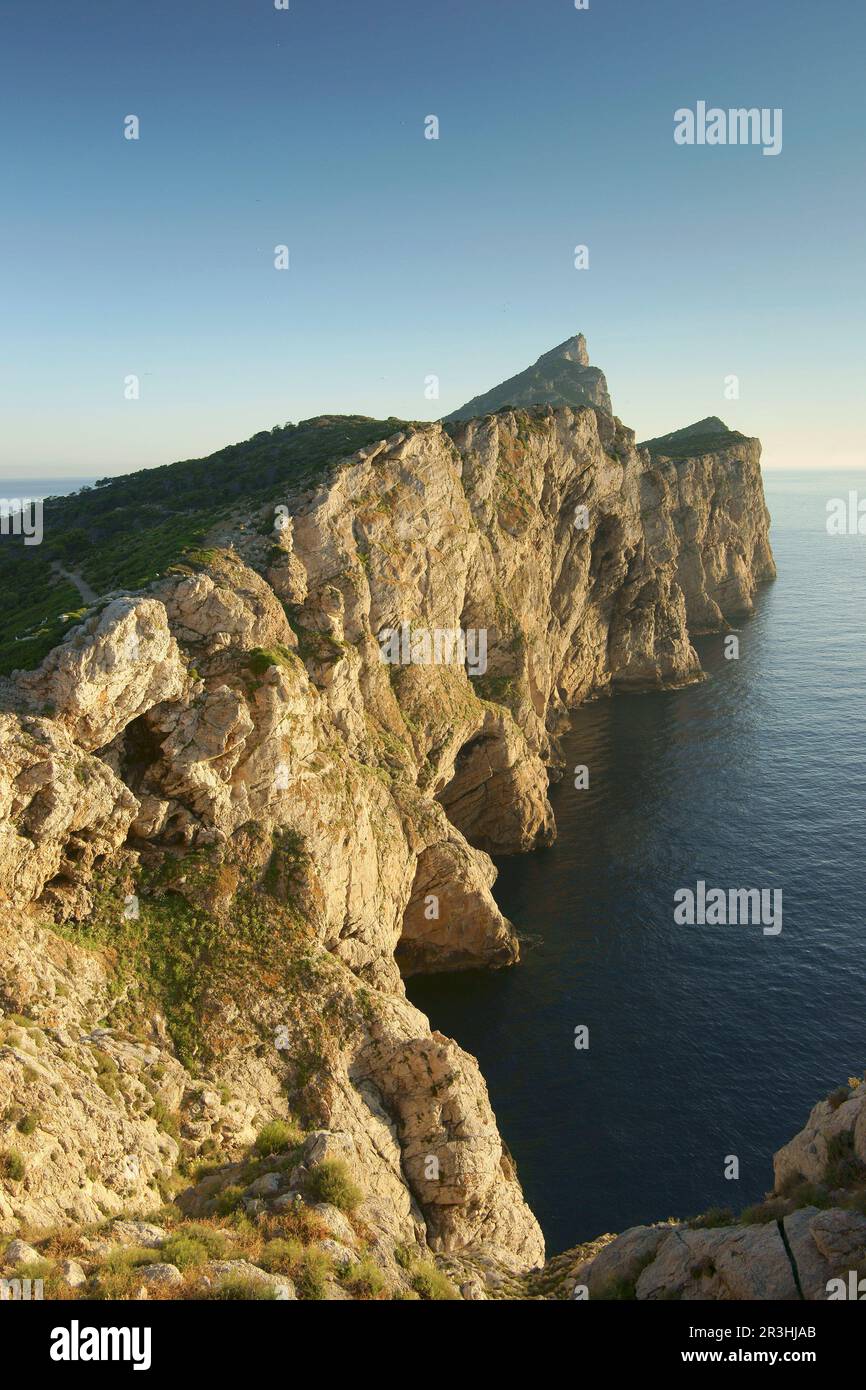 Parque Natural de Sa Dragonera.Andratx.Ponent.Mallorca.Baleares.España ...