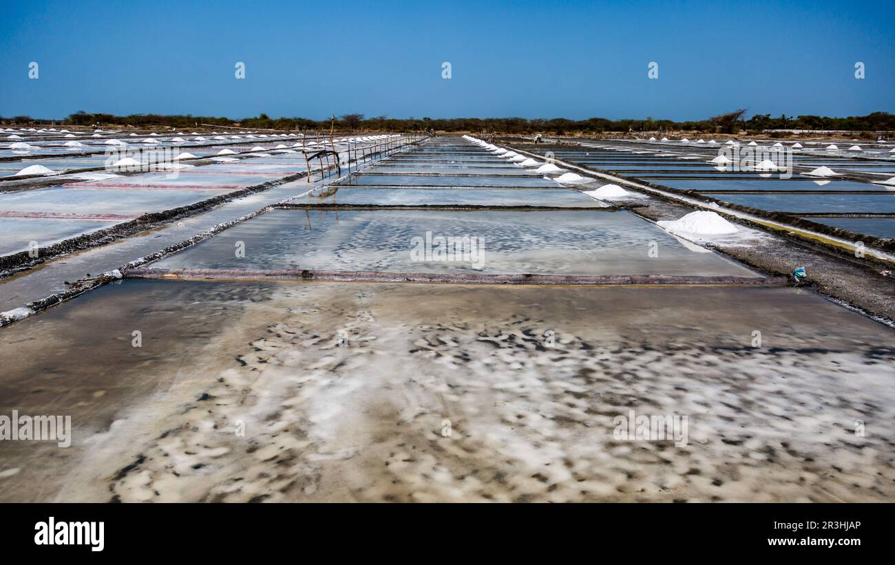 Small sections of a sea salt evaporation pond. Alongside the ...