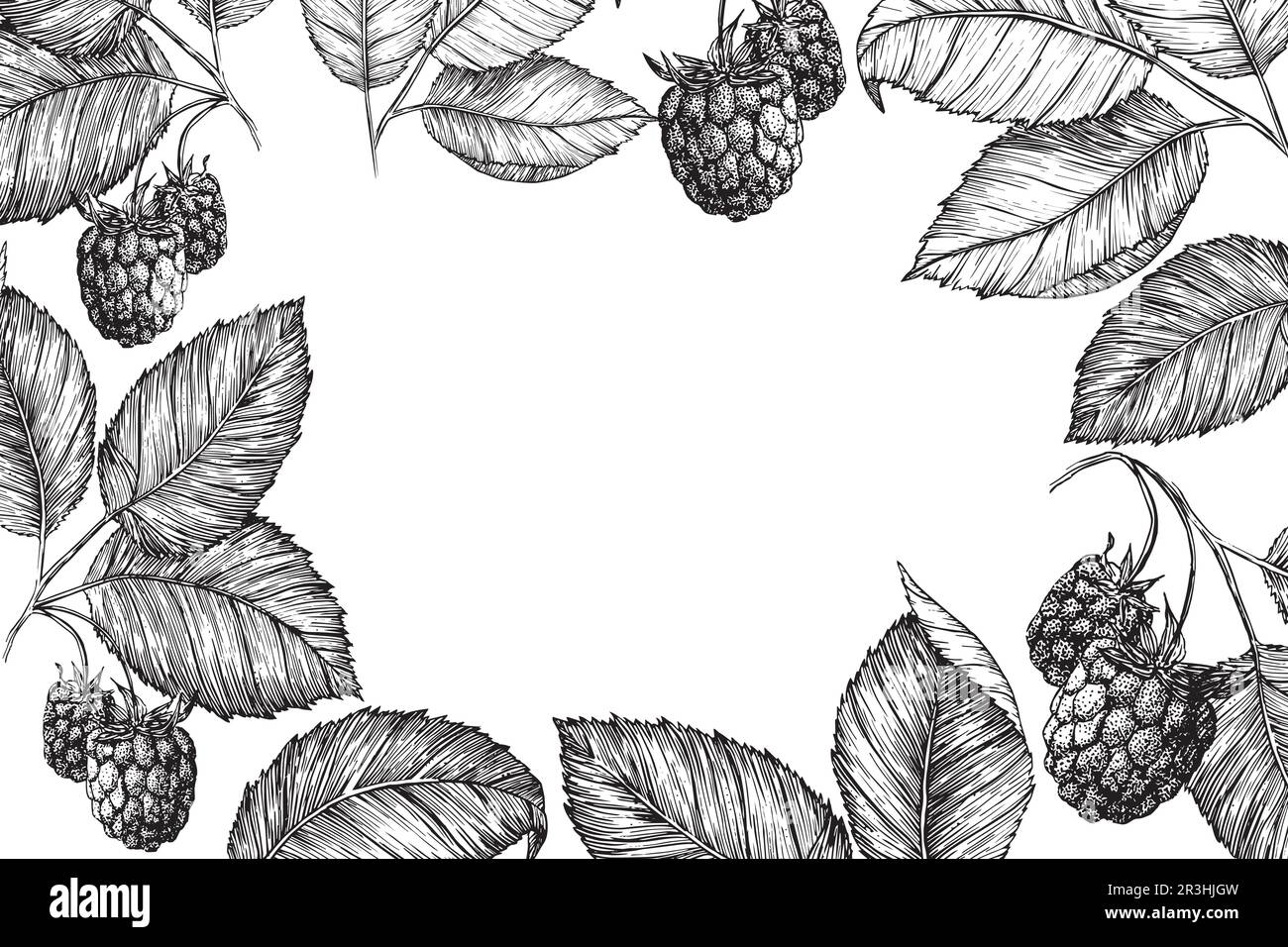 Hand drawn vector frame with raspberry set of elements isolated on ...