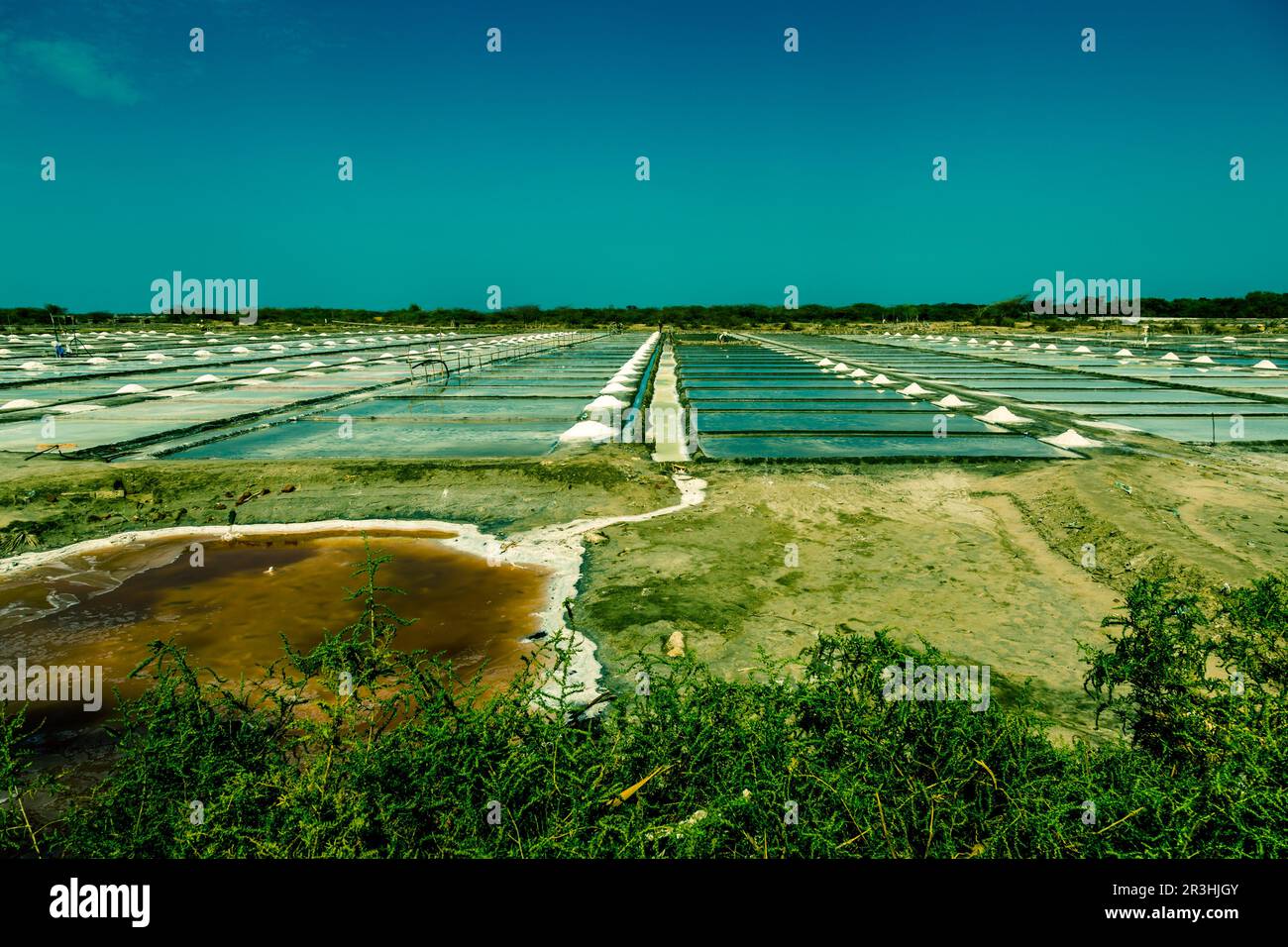 Pond where salt evaporates in Vedaranyam. with salt mounds lining the ...