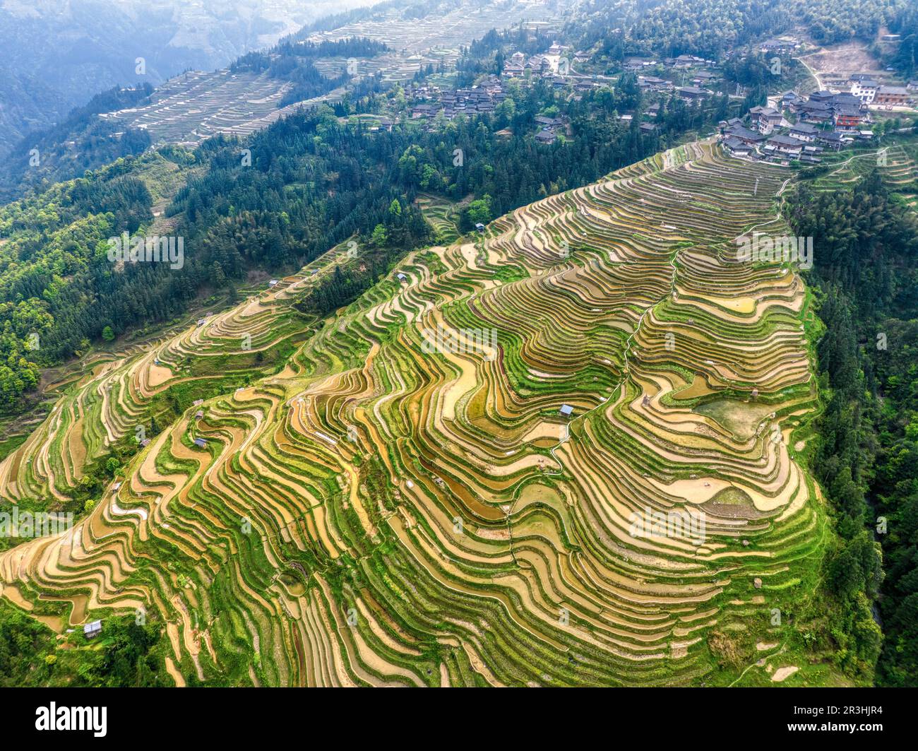 abstract curves of terrace fields on mountains Stock Photo - Alamy