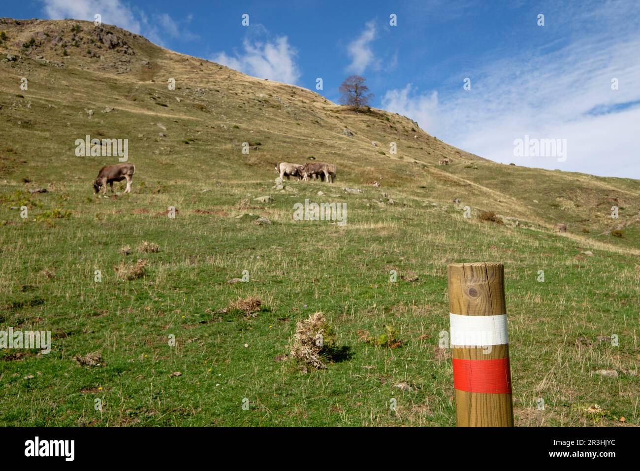 GR11 trail, Valley of Hecho, western valleys, Pyrenean mountain range ...