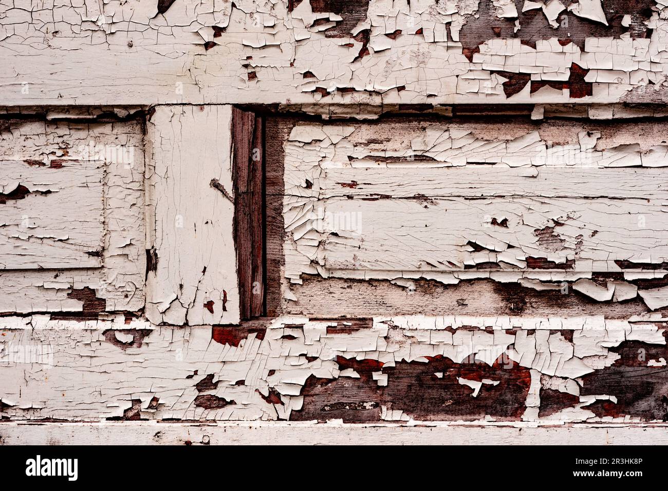 Texture, wood, wall, it can be used as a background. Wooden texture ...