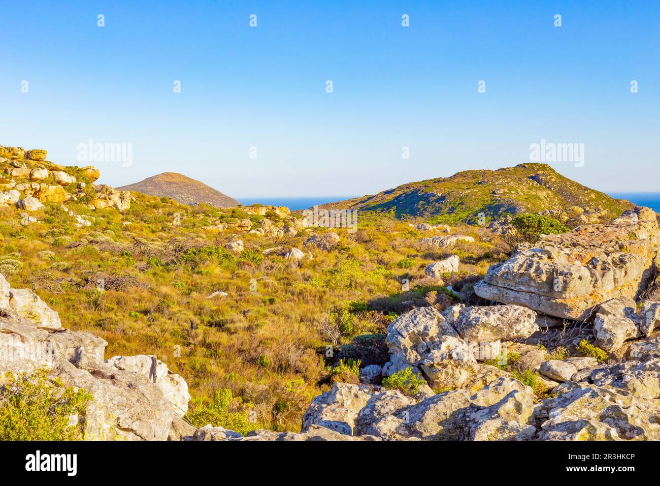 Coastal mountain landscape with fynbos flora in Cape Town Stock Photo ...