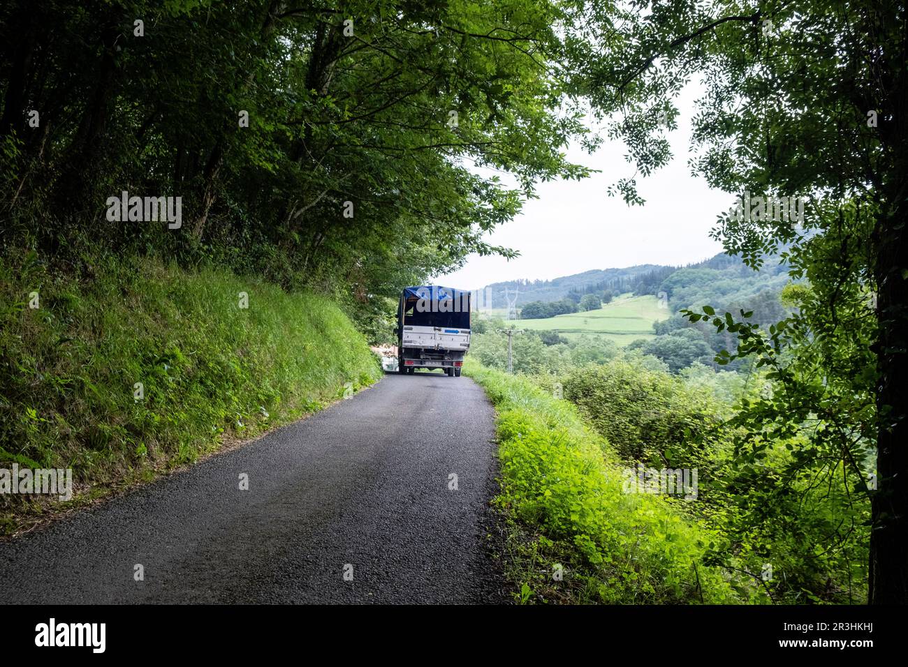 rural road through the forest, Basque Country, Andoain, Spain Stock ...
