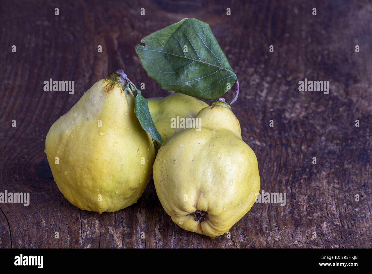 Close up quitte hi-res stock photography and images - Alamy