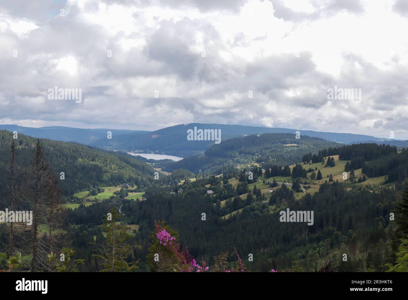 Thuringian Tranquility: Exploring the Breathtaking Hilly Landscapes of ...