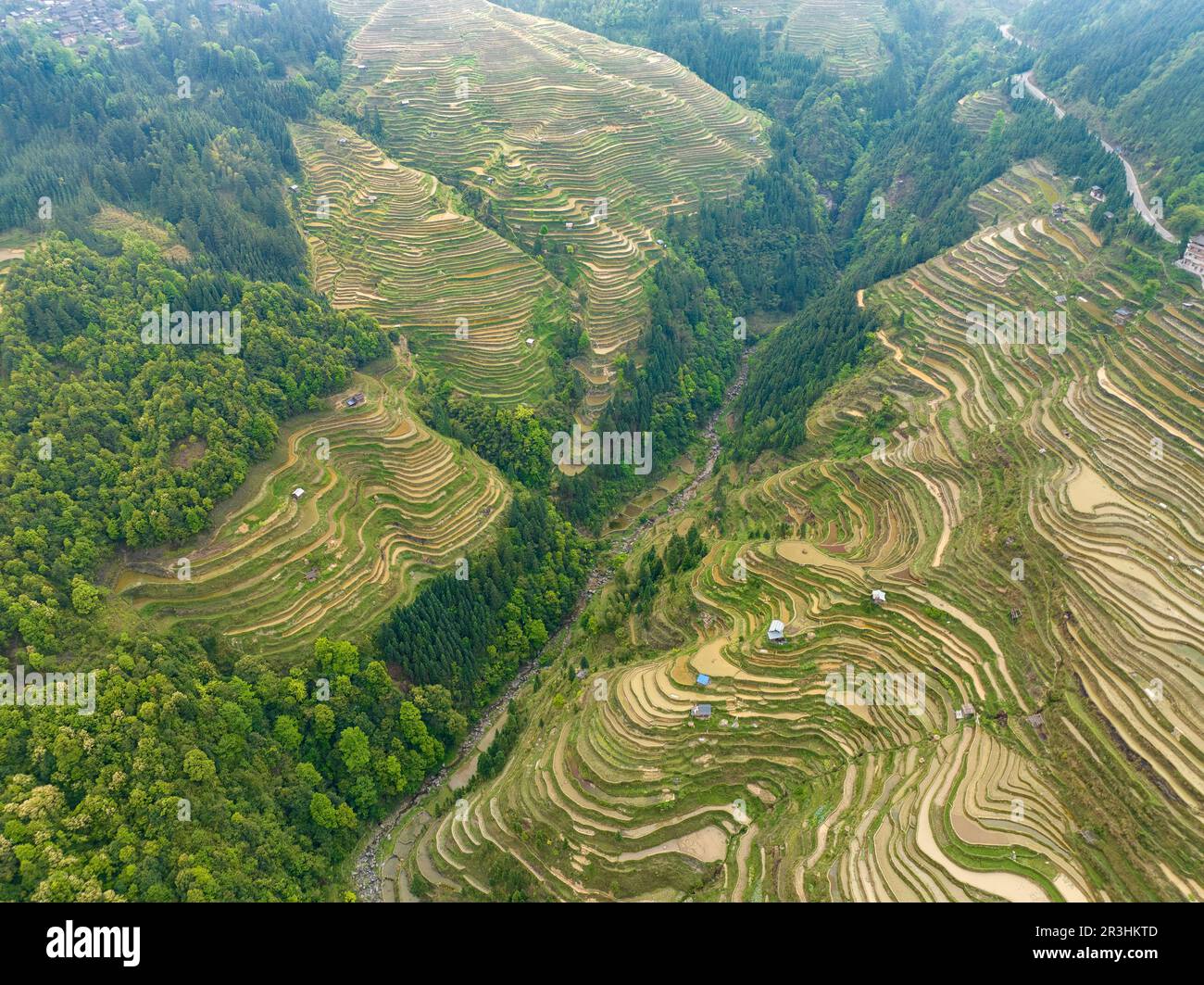 abstract curves of terrace fields on mountains Stock Photo - Alamy