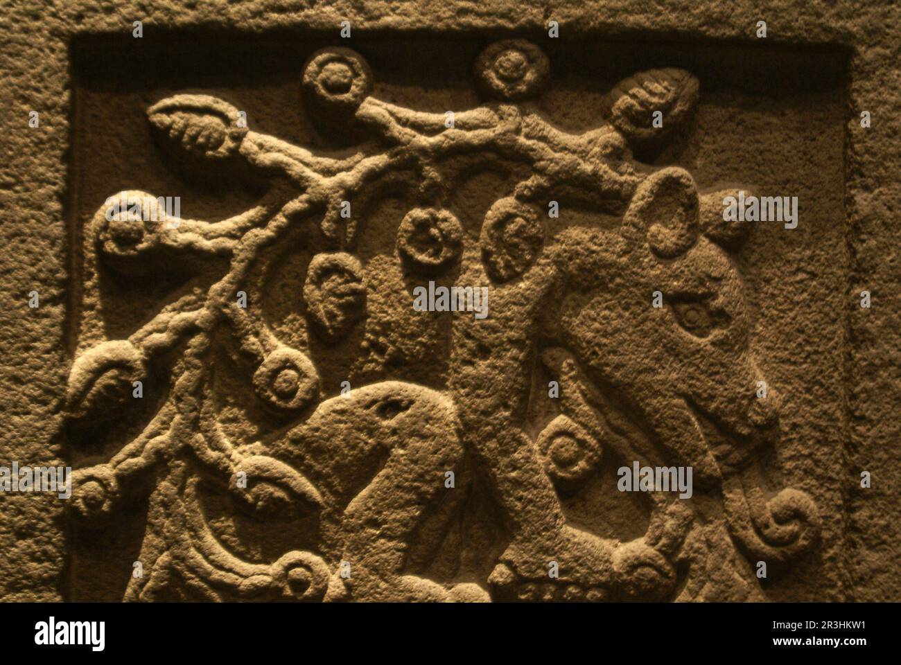 Perro acuatico hi-res stock photography and images - Alamy