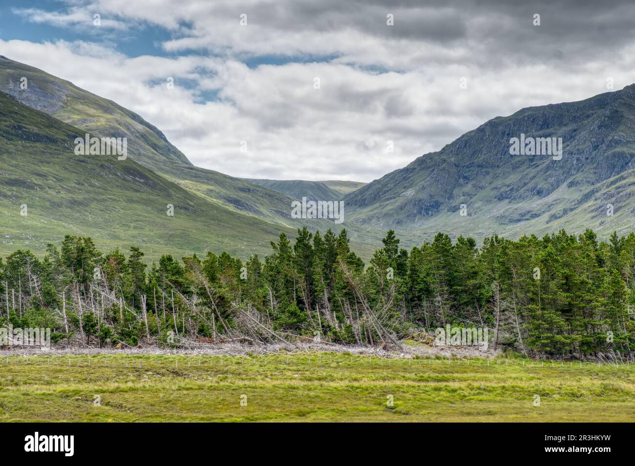 SgÃ¹rr MÃ²r Mountains, Loch Quoich, Highland, Scotland, United Kingdom ...