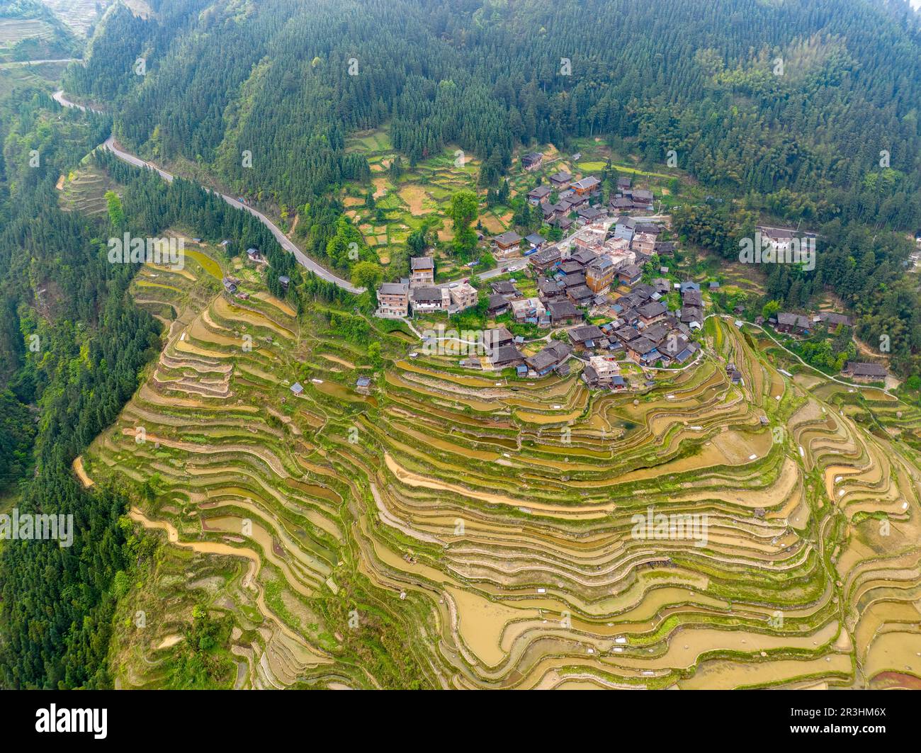 abstract curves of terrace fields on mountains Stock Photo - Alamy