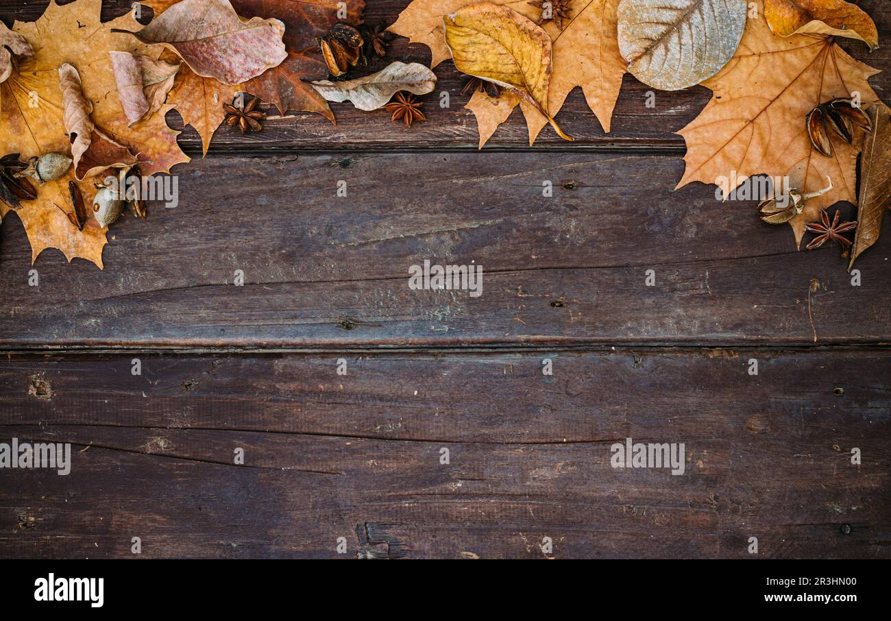 Autumn leaves on wooden wallpaper with copy space. Thanksgiving ...