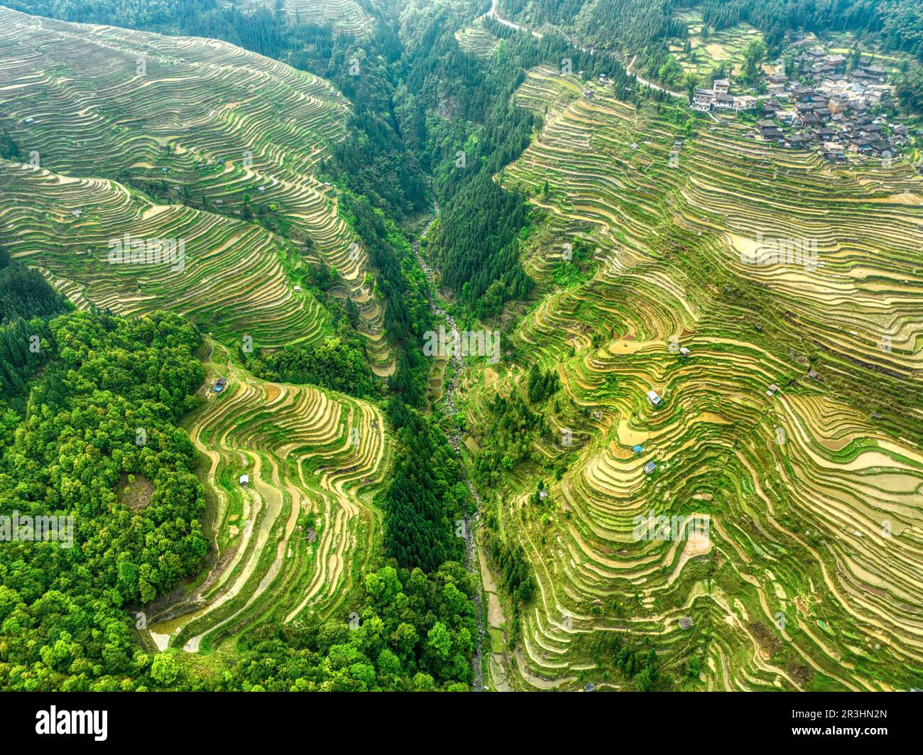abstract curves of terrace fields on mountains Stock Photo - Alamy