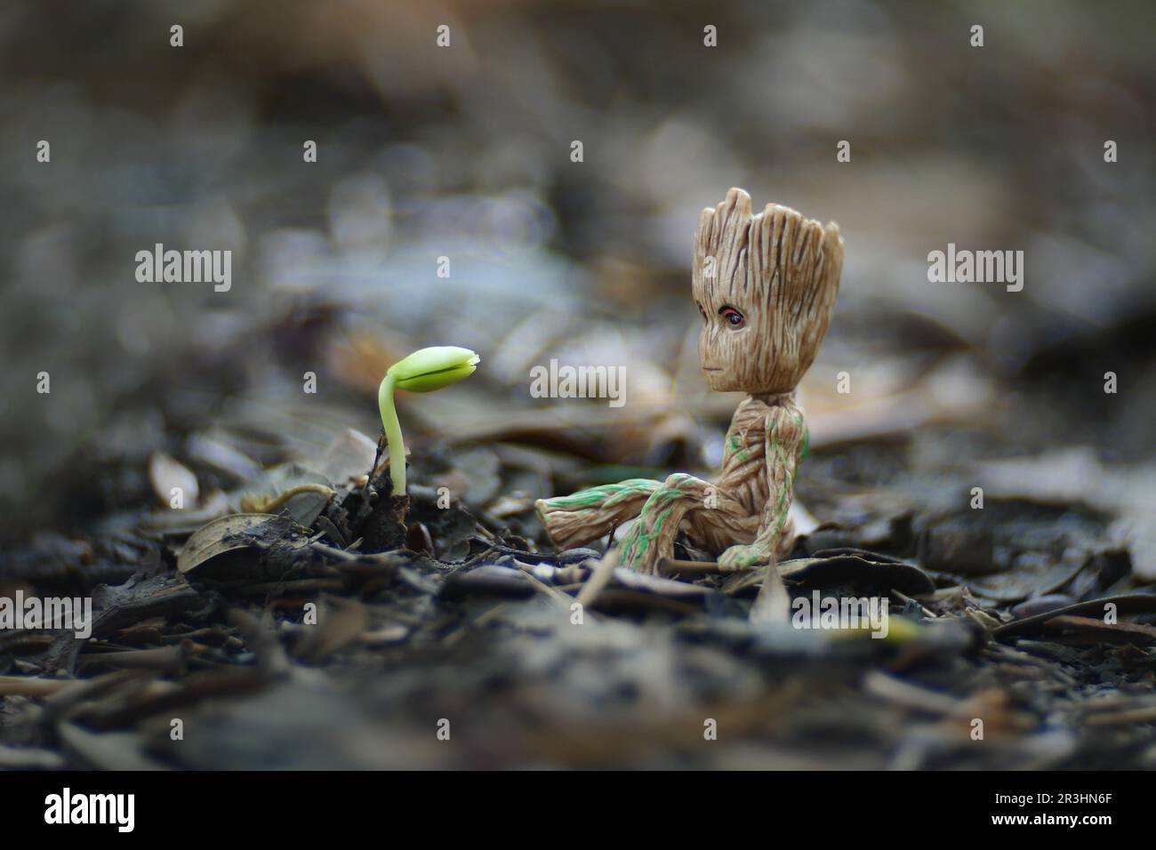 Baby groot hi-res stock photography and images - Alamy