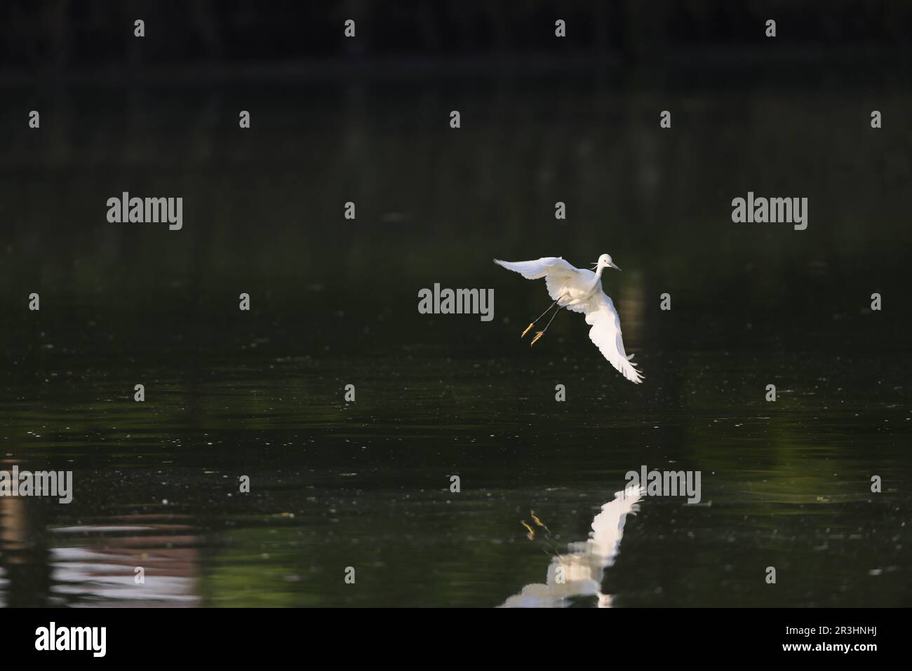 Little river in japan hi-res stock photography and images - Alamy