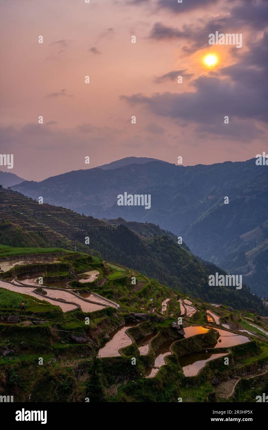 terrace fields on mountains in sunrise Stock Photo - Alamy