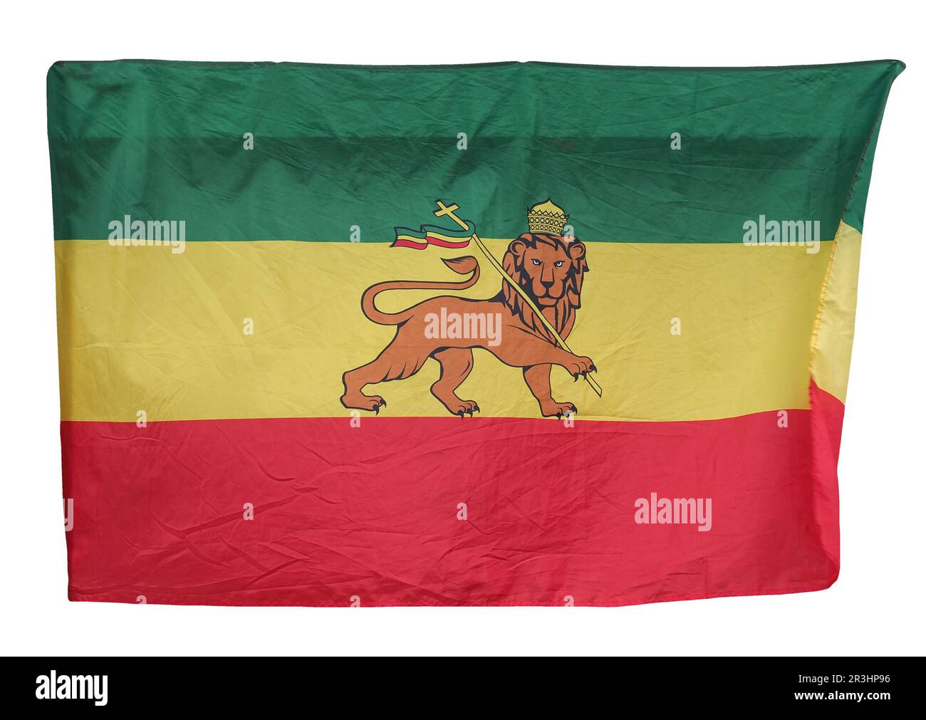 Lion Of Judah Flag Vector
