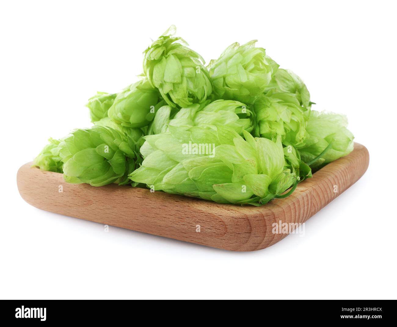 Many fresh green hops on white background Stock Photo - Alamy