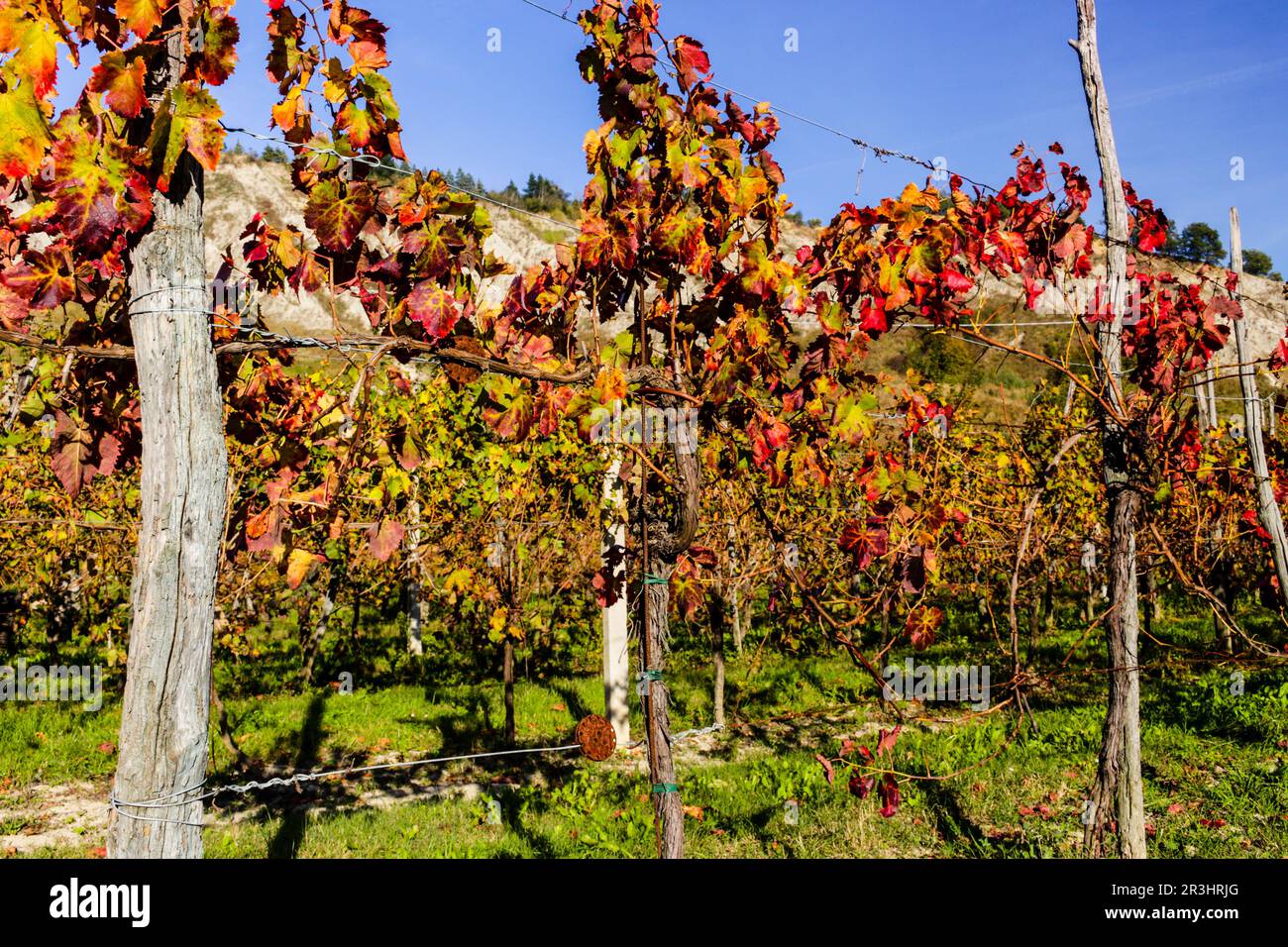 Badlands farm hi-res stock photography and images - Alamy