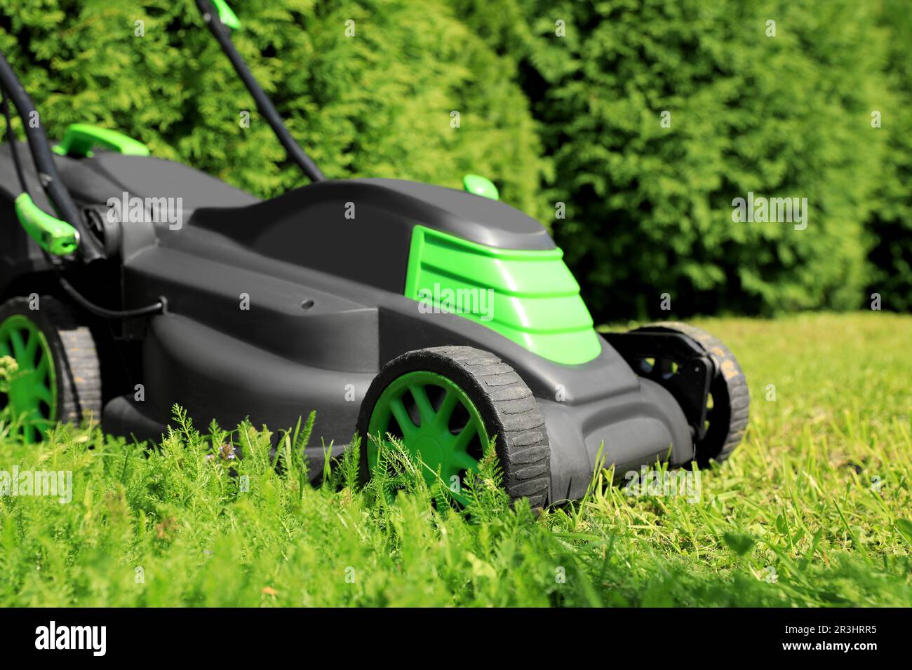 Cutting green grass with lawn mower in garden Stock Photo - Alamy