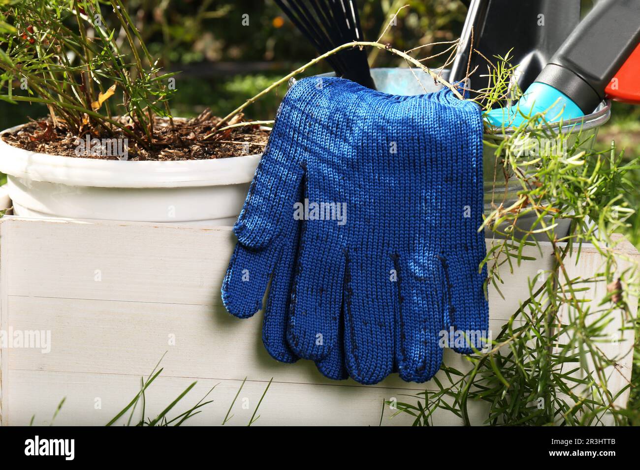 Wooden crate with gardening gloves, tools and potted plant outdoors ...