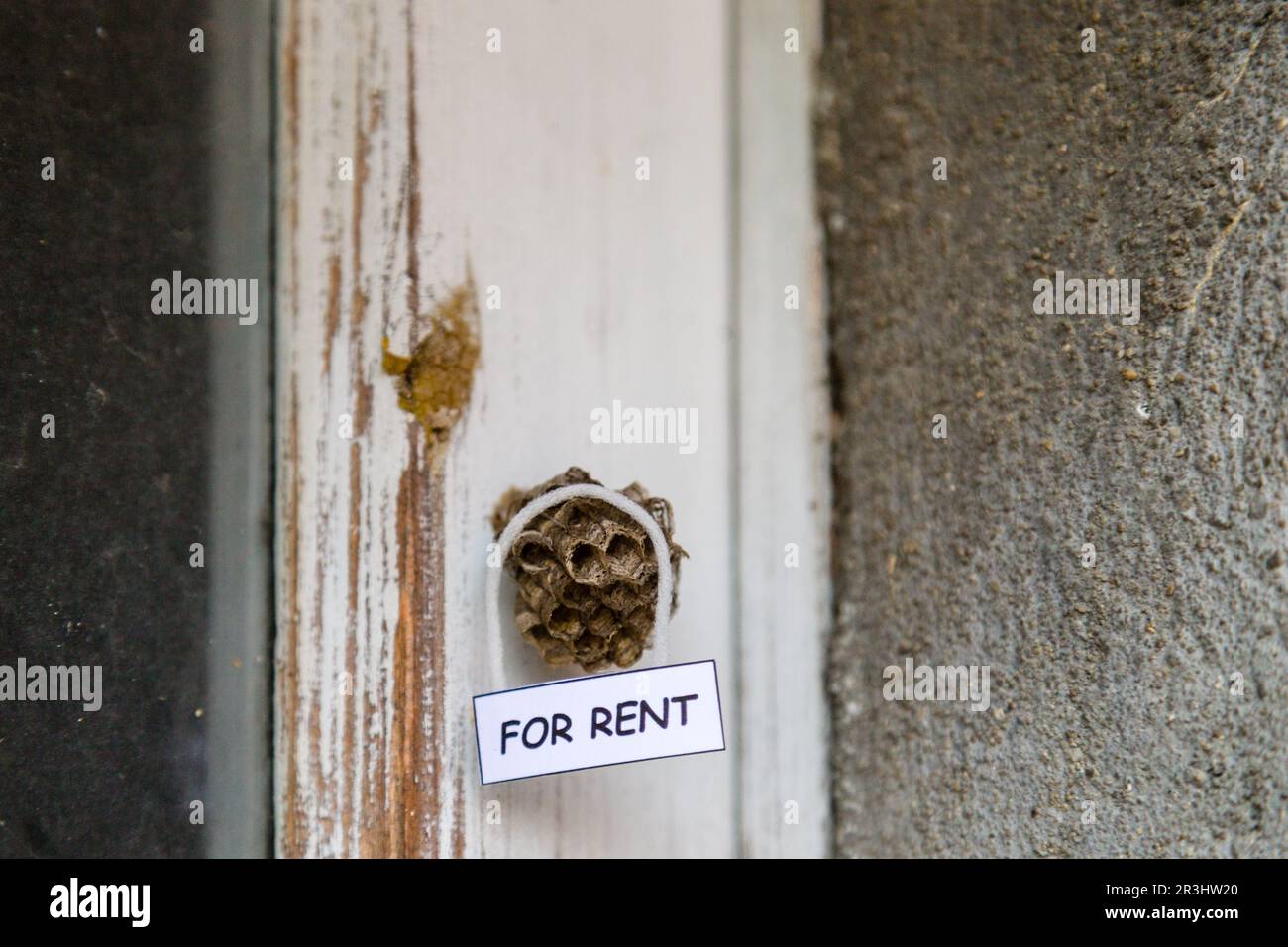 Beehive as a house for rent Stock Photo - Alamy