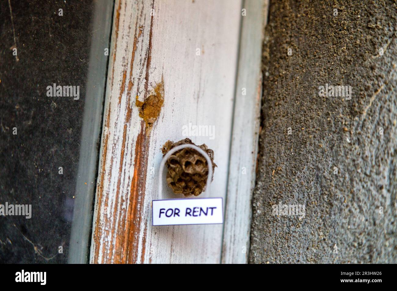 Beehive house hi-res stock photography and images - Alamy