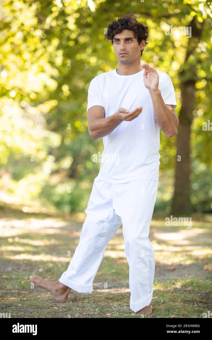 handsome man practicing thai chi Stock Photo - Alamy