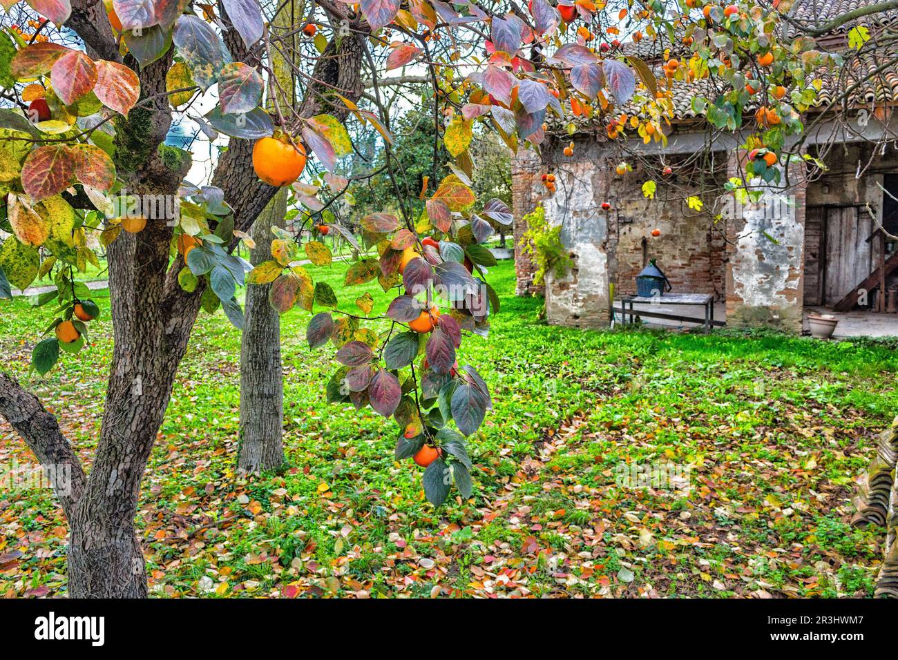 Japanese farmhouse hi-res stock photography and images - Alamy