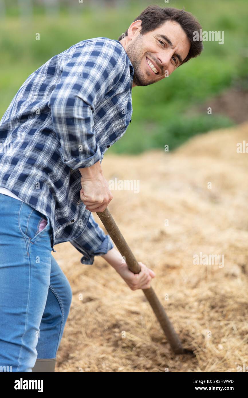 a man takes the hay from the trailer Stock Photo - Alamy