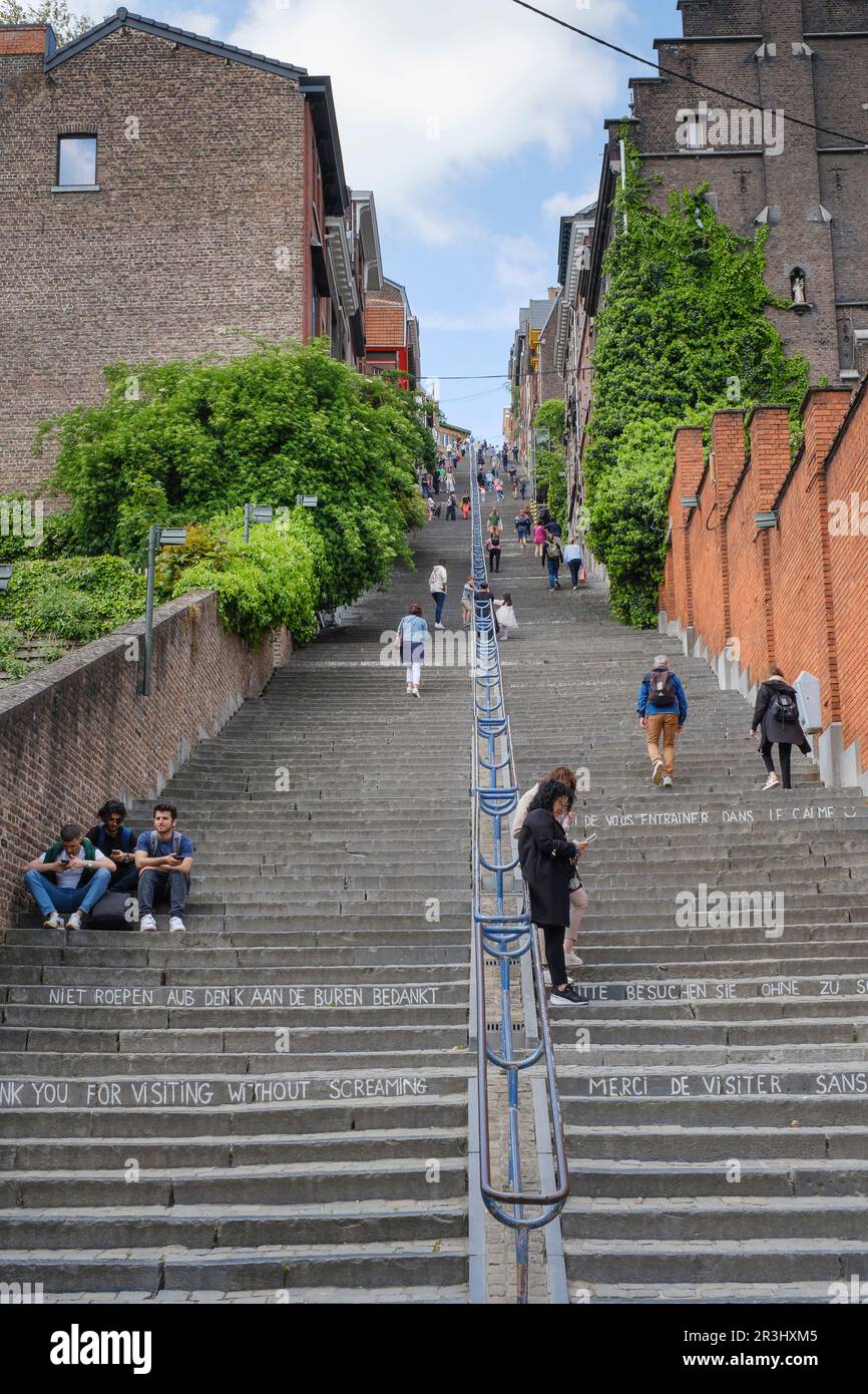 Die Montagne de Bueren, zu deutsch Bueren-Berg, ist eine Treppe im ...