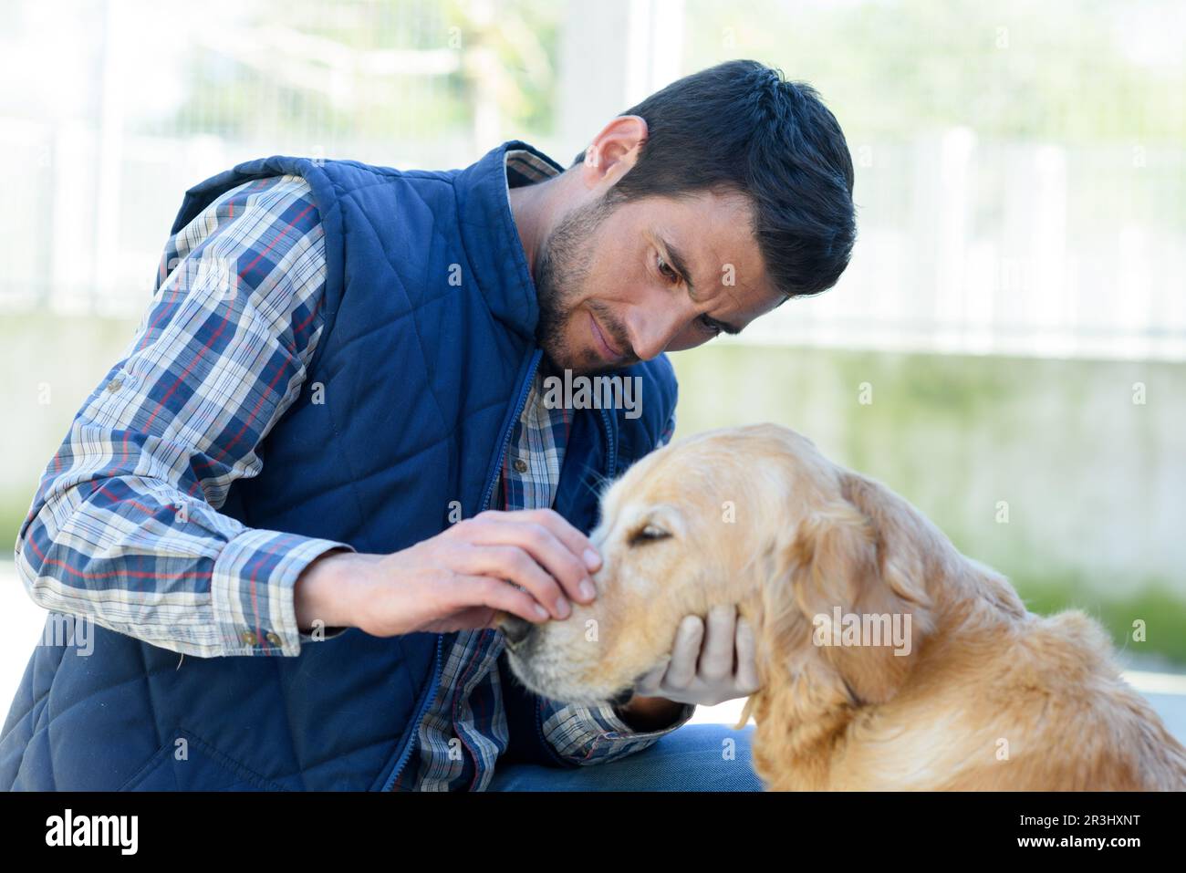 portrait of a male vet with dog Stock Photo - Alamy