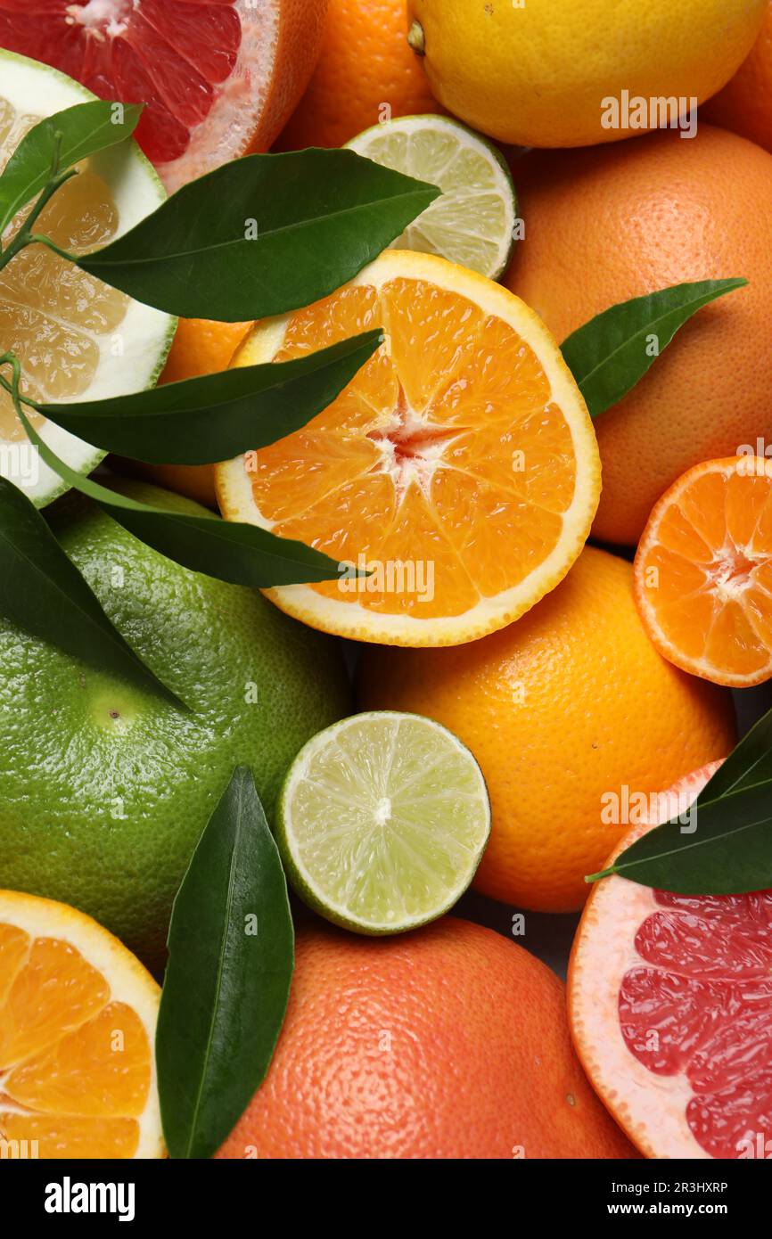 Different fresh whole and cut citrus fruits as background Stock Photo ...