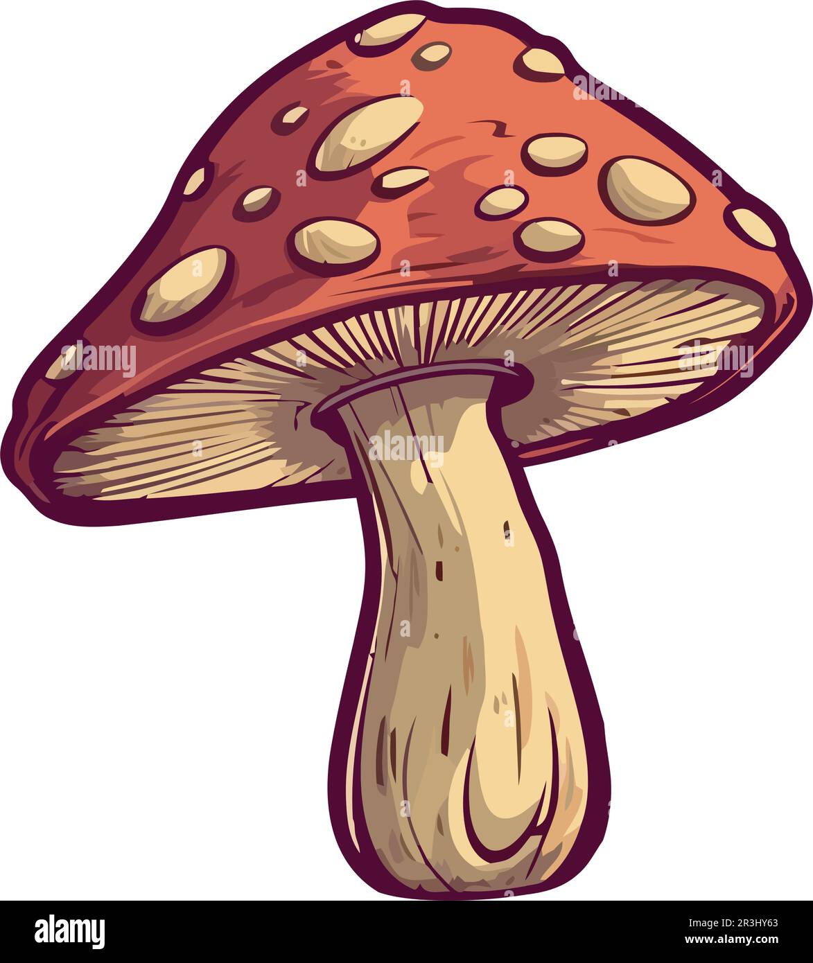 Spotted fly agaric mushroom cap, poisonous but cute Stock Vector Image ...
