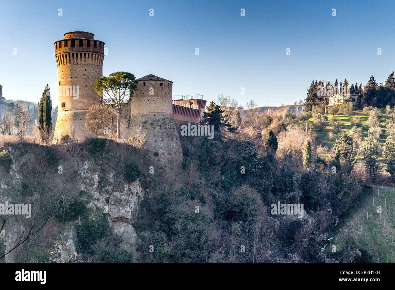 Medieval castle among trees hi-res stock photography and images - Alamy