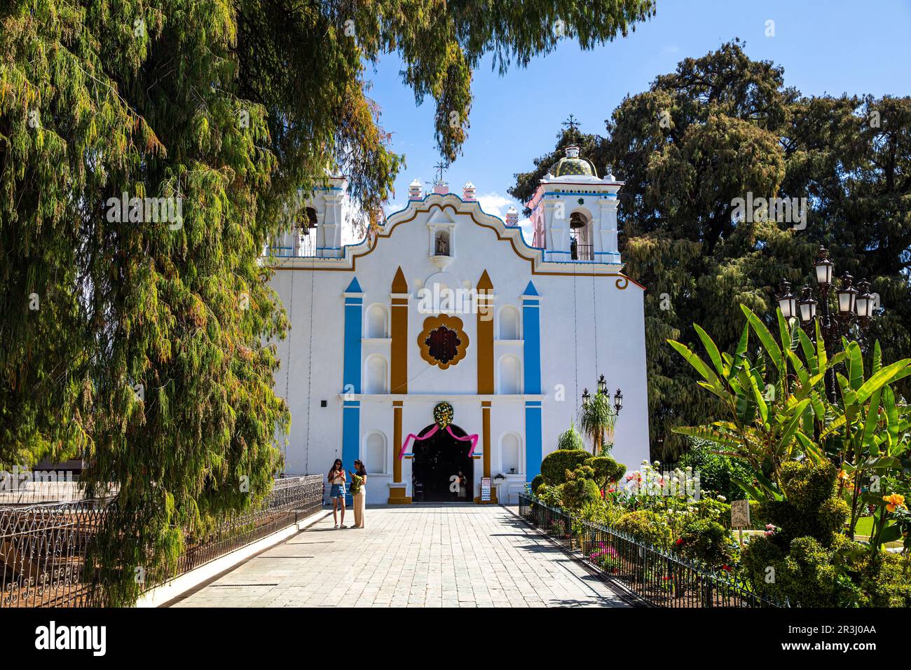 Giant tree tule oaxaca hi-res stock photography and images - Alamy