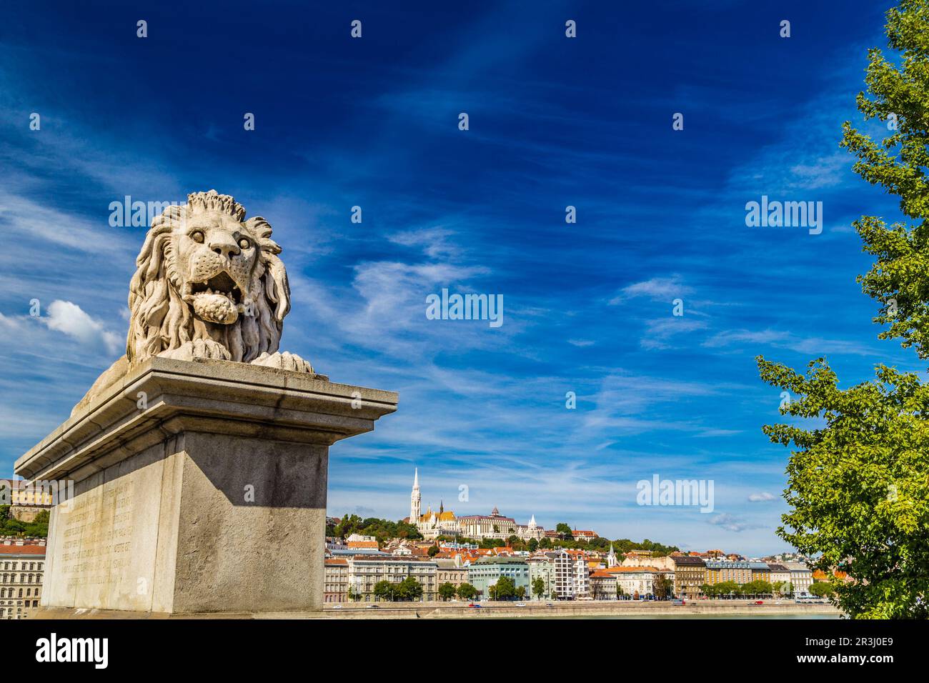 Lion on Chain Bridge in Budapest Stock Photo - Alamy