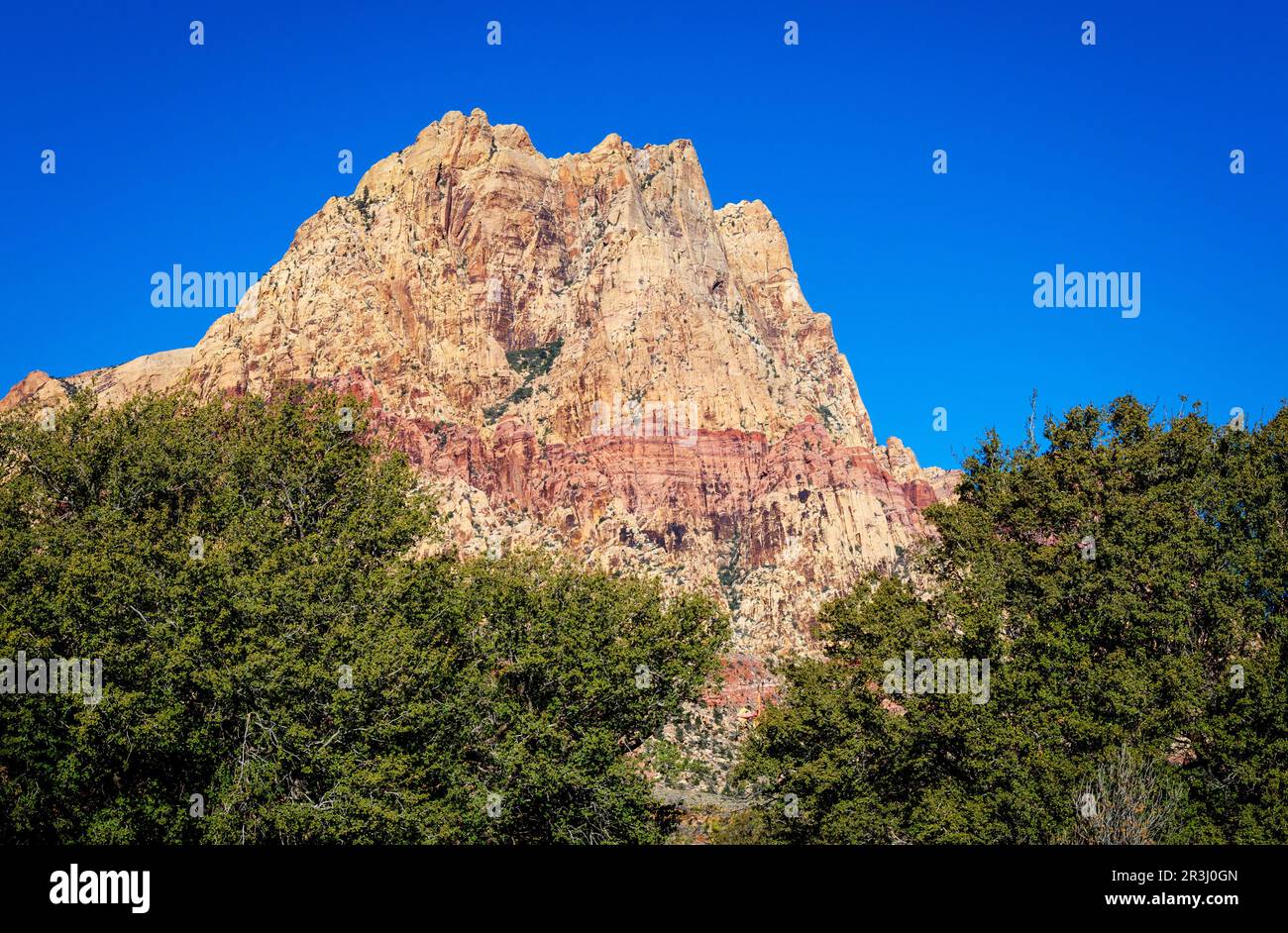 Spring Mountain Ranch State Park in Nevada Stock Photo - Alamy