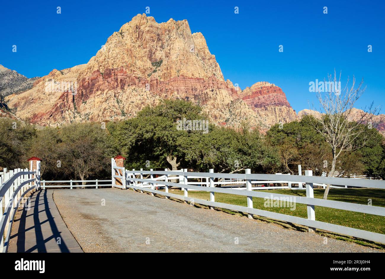 Spring Mountain Ranch State Park in Nevada Stock Photo - Alamy