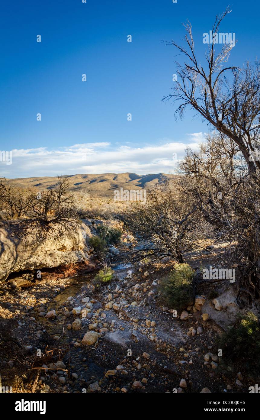 Spring Mountain Ranch State Park in Nevada Stock Photo - Alamy