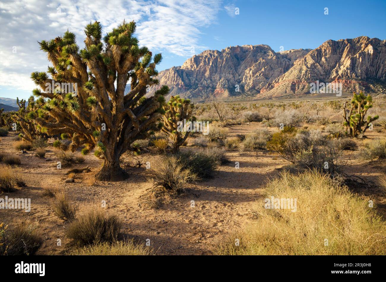 Spring Mountain Ranch State Park in Nevada Stock Photo - Alamy