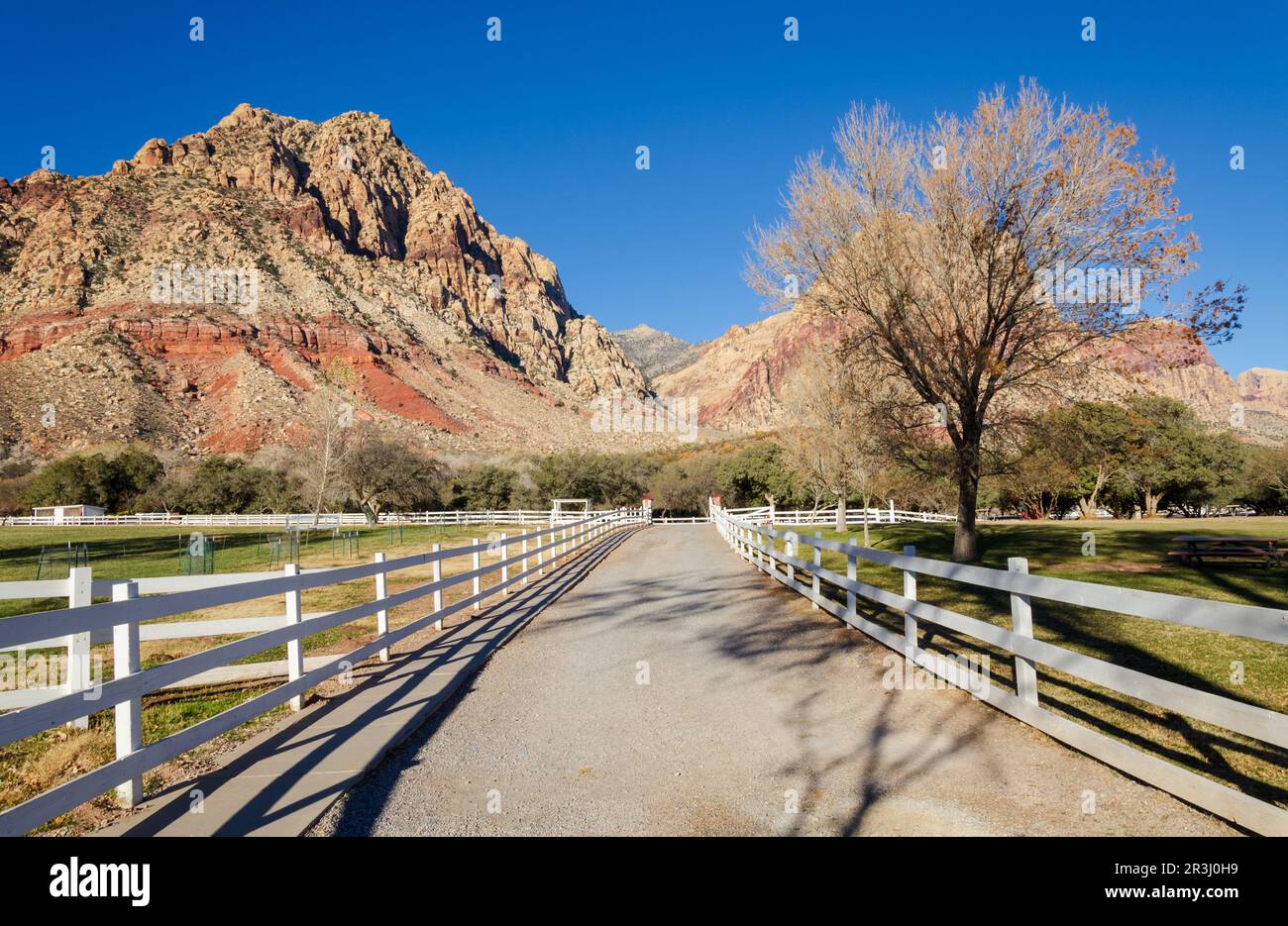 Spring Mountain Ranch State Park in Nevada Stock Photo - Alamy