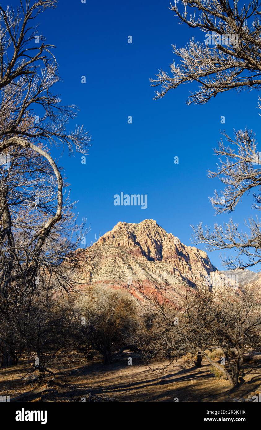 Spring Mountain Ranch State Park in Nevada Stock Photo - Alamy